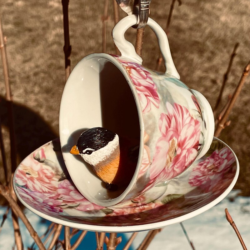 Tea Cup Bird Feeder - Etsy