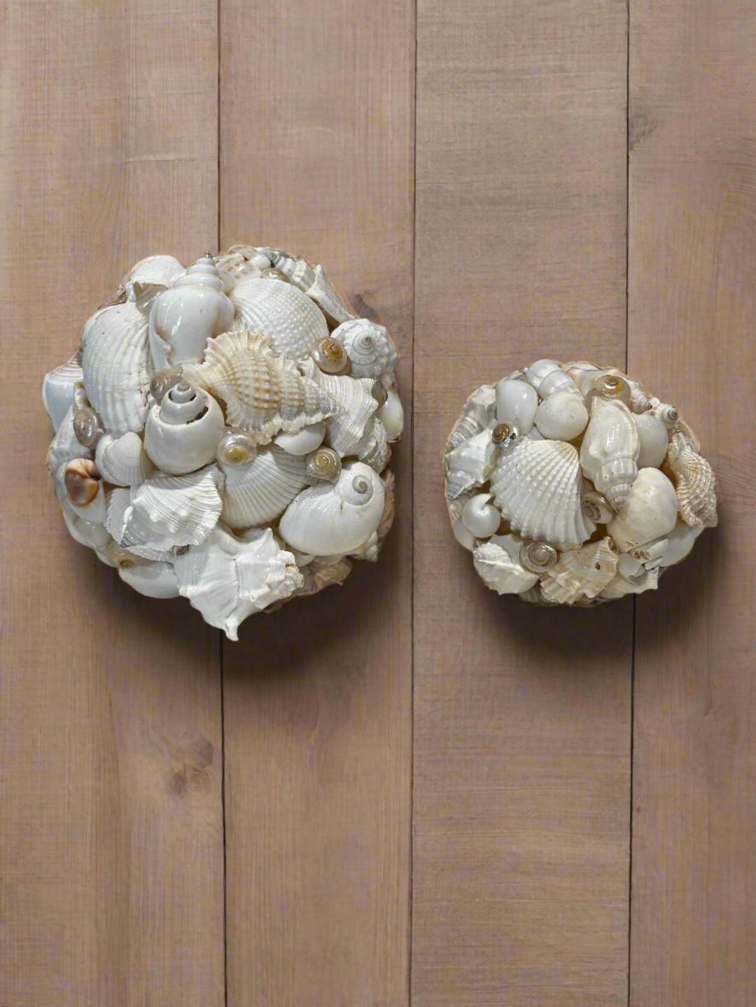 Shell Ball Surface Decor - Etsy