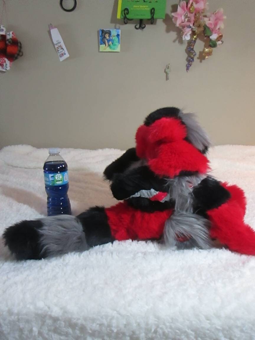 Martian Warlock Red Panda - Etsy