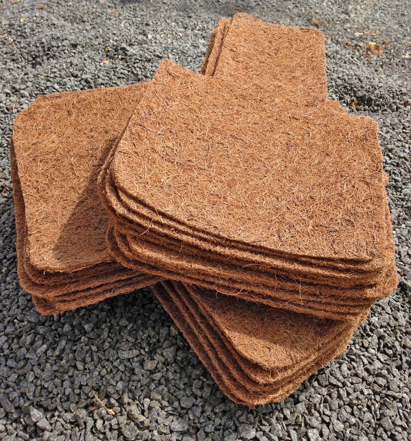 Biopod Plus - Black Soldier Fly (grub) Food Waste Digester - Handmade ...