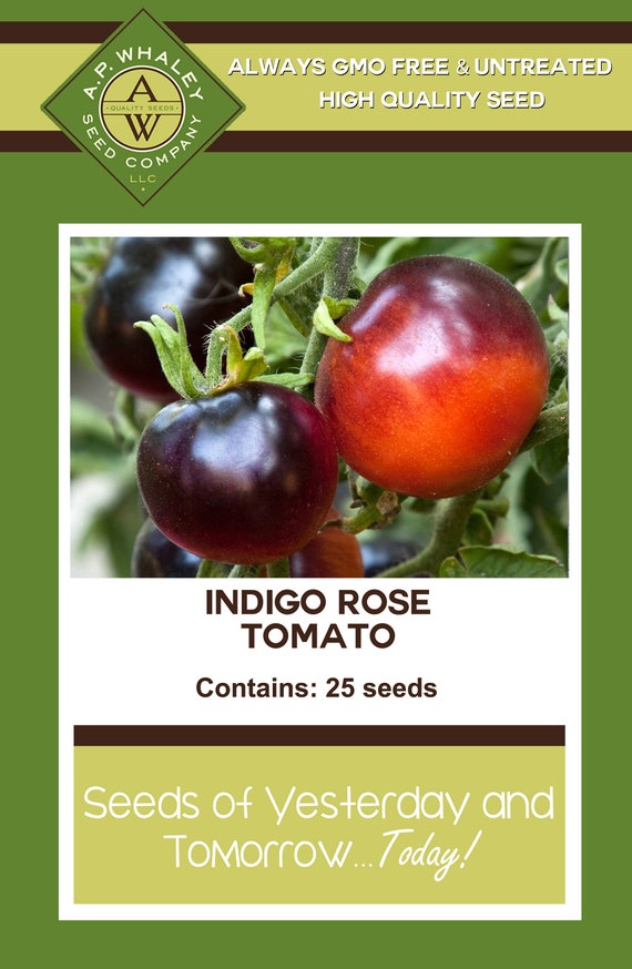 Indigo Tomato Seeds