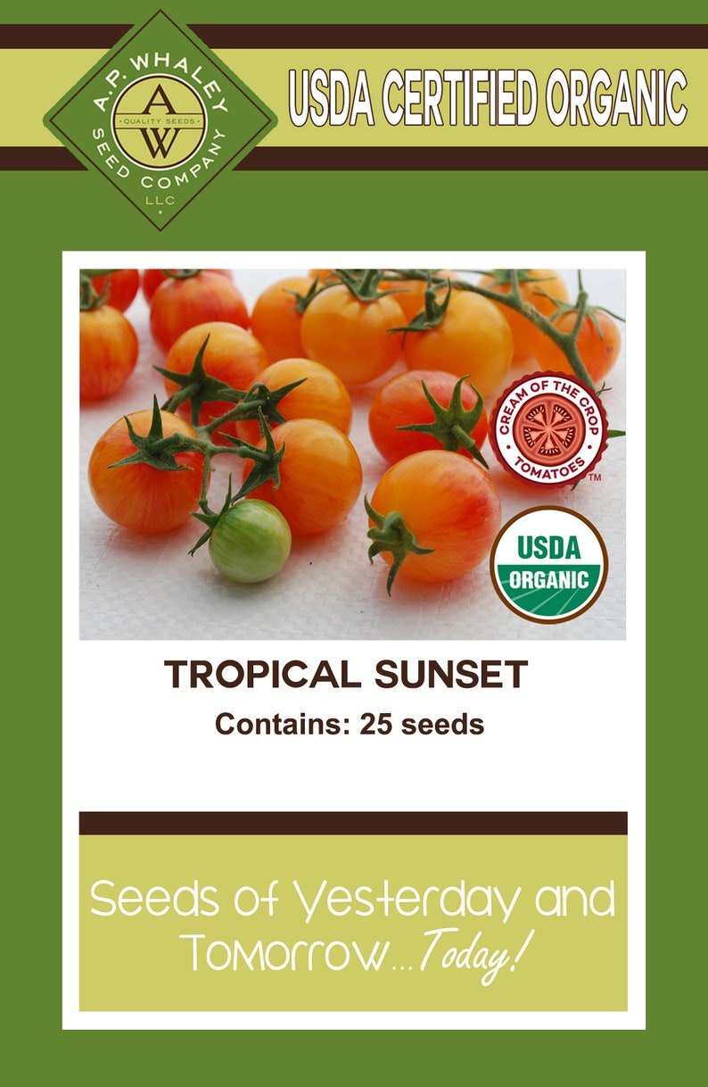 Cream of the Crop 'tropical Sunset' Tomato Seed 25 - Etsy