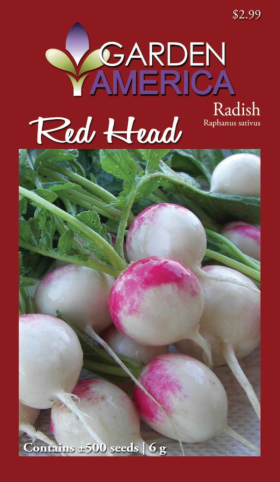 Outdoor & Gardening Seeds & Seed Bombs Home & Living Early Scarlet ...
