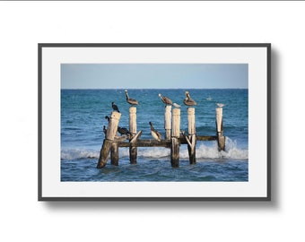 Tree Filled With Crows 1867 Charles Francois Daubigny Print - Etsy