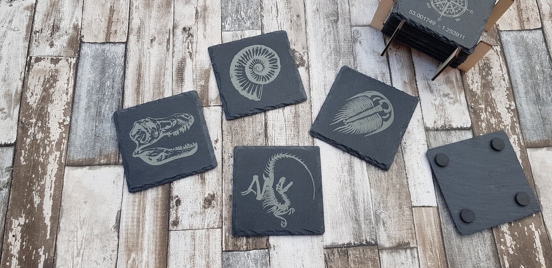 Dinosaur Fossil Replica Slate Coasters - Etsy