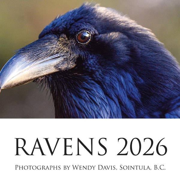 Msufcu 2026 Calendar - Etsy Canada