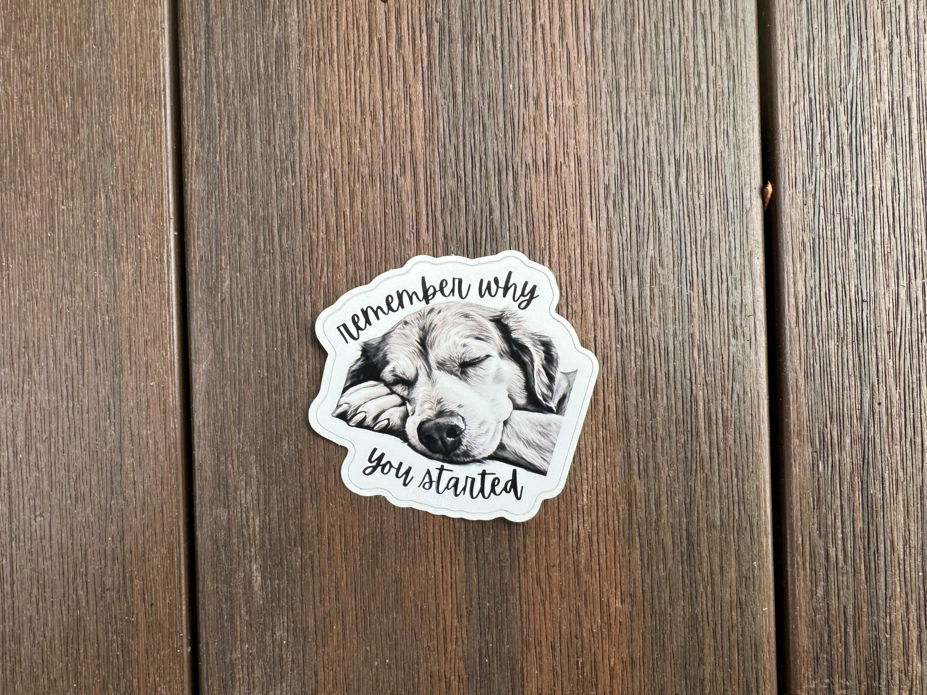 Vet Med Sticker: "remember Why You Started" Vinyl Sticker - Etsy