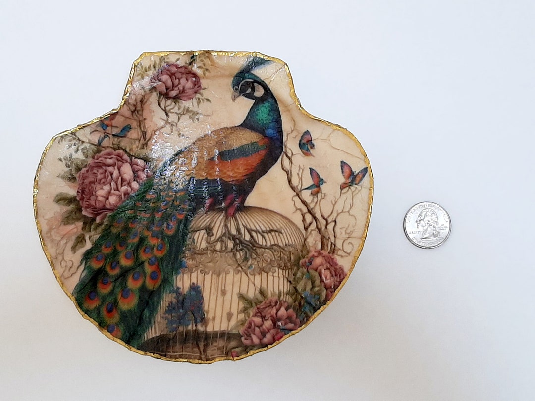 HUGE 6 1/2 Inch Decoupage PEACOCK Seashell Trinket Dish/tray or ...