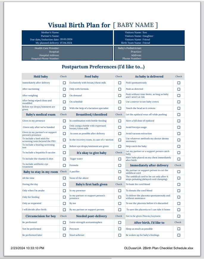 Customizable Birth Plan Template for Expecting Moms | Visual Birth Plan ...