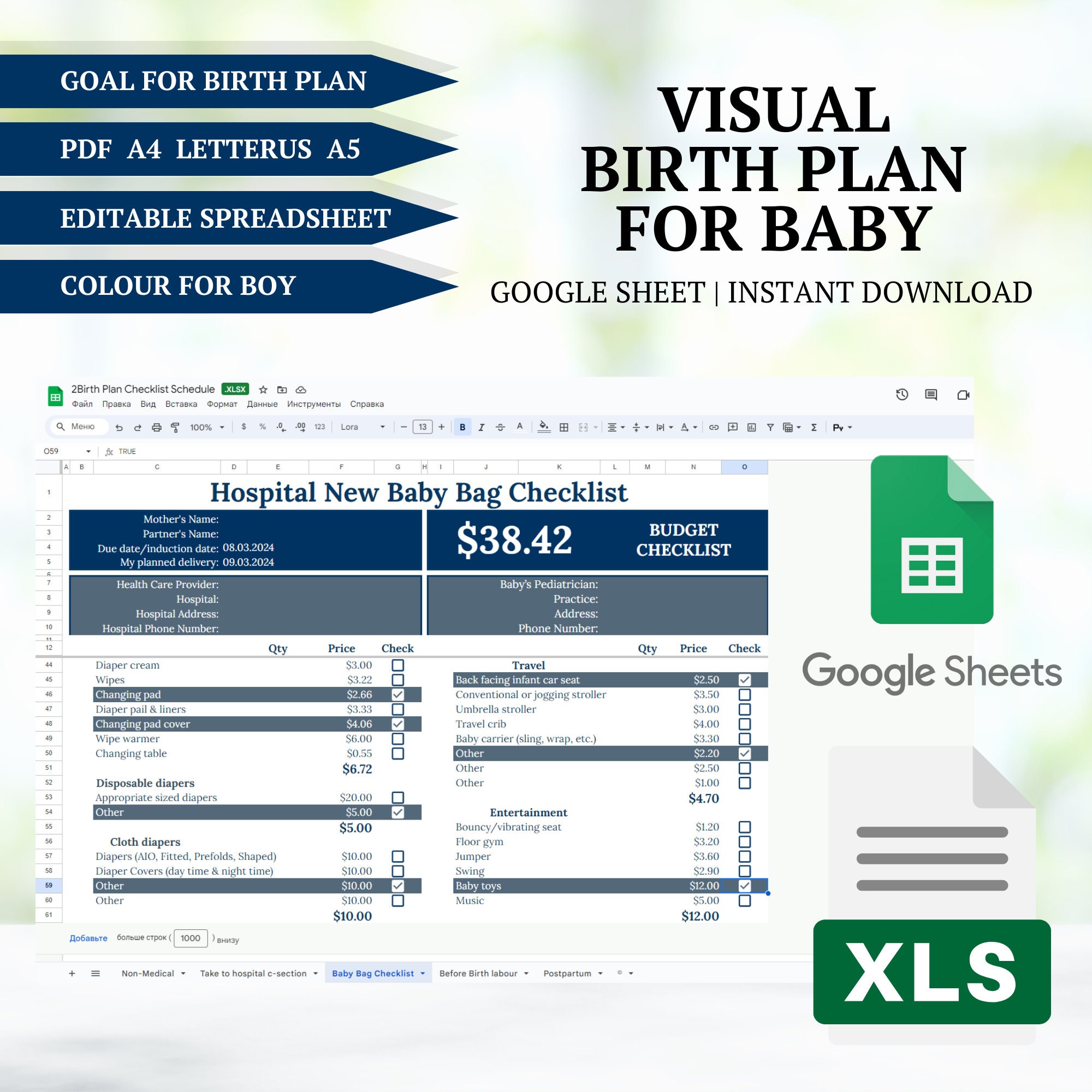 Customizable Birth Plan Template for Expecting Moms | Visual Birth Plan ...