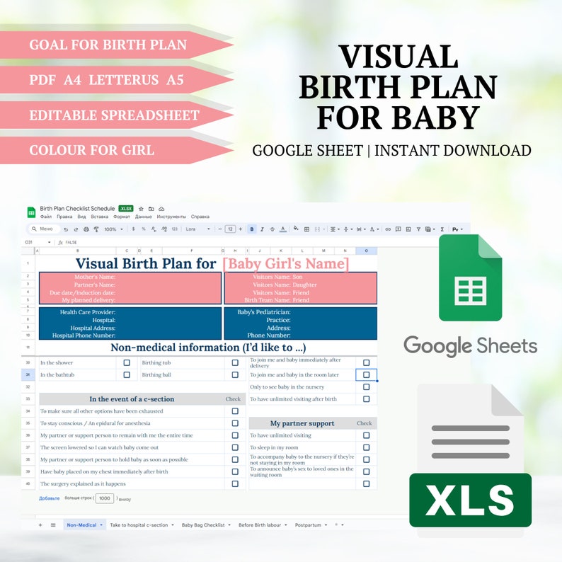 Customizable Birth Plan Template - Baby Girl Edition - Excel & PDF ...