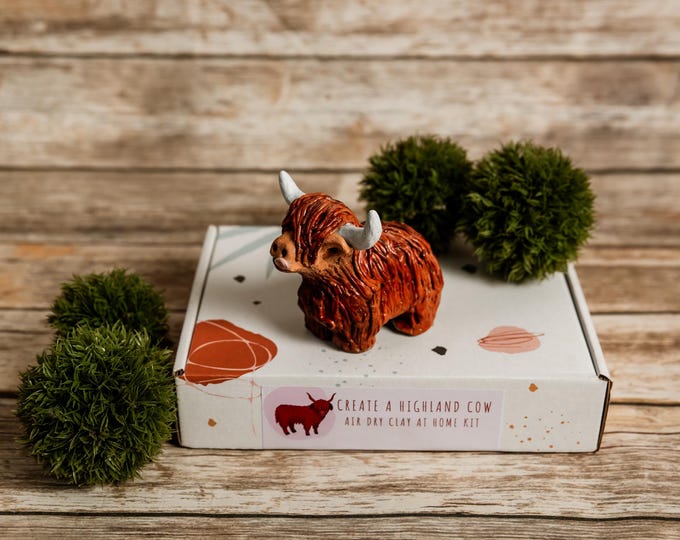 Highland Cow Clay Kit for 2: DIY Pottery Craft, Couples Activity - Etsy UK