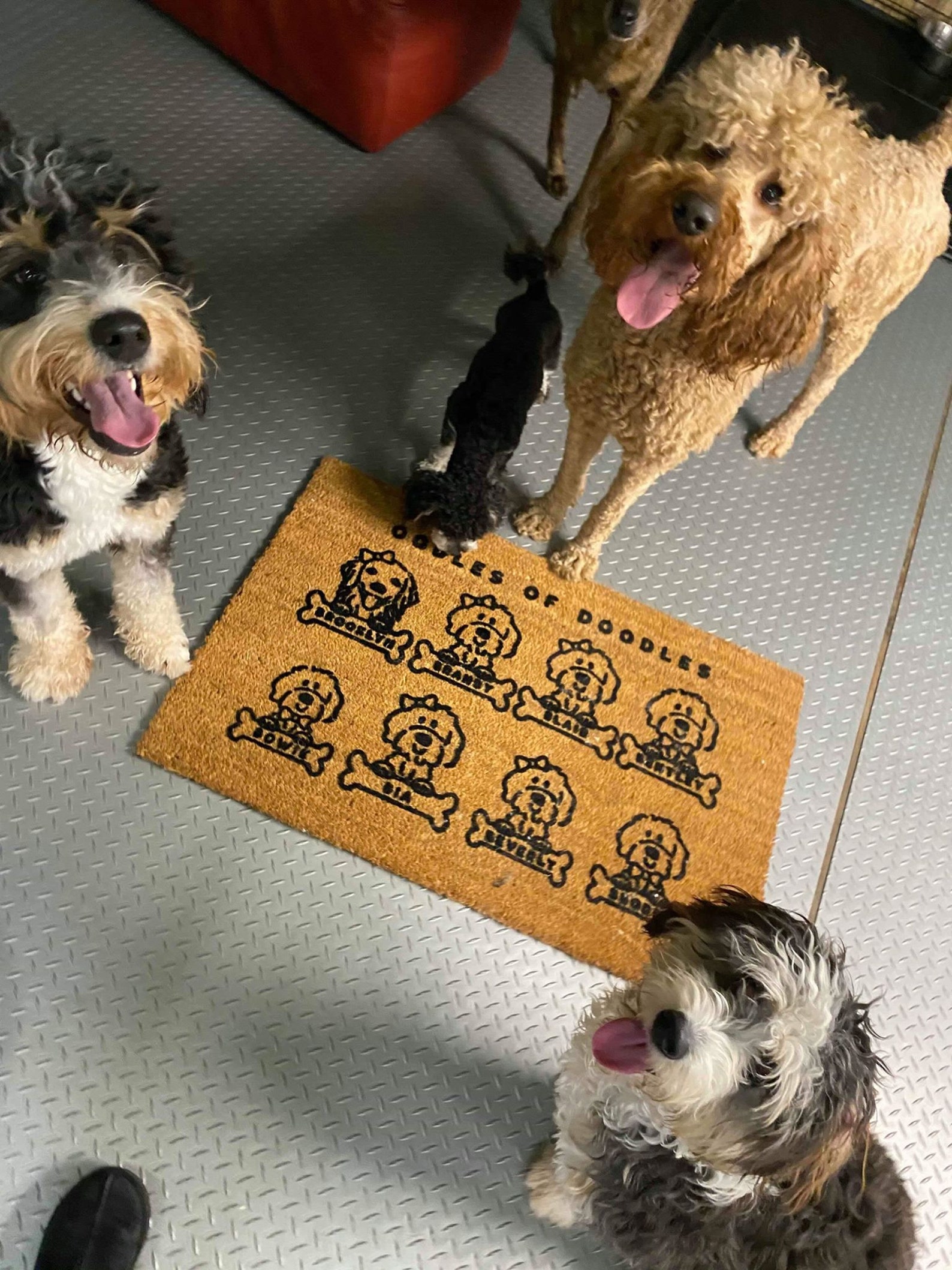 Custom Doodle Mat Doodle Doormat Goldendoodle Doormat - Etsy