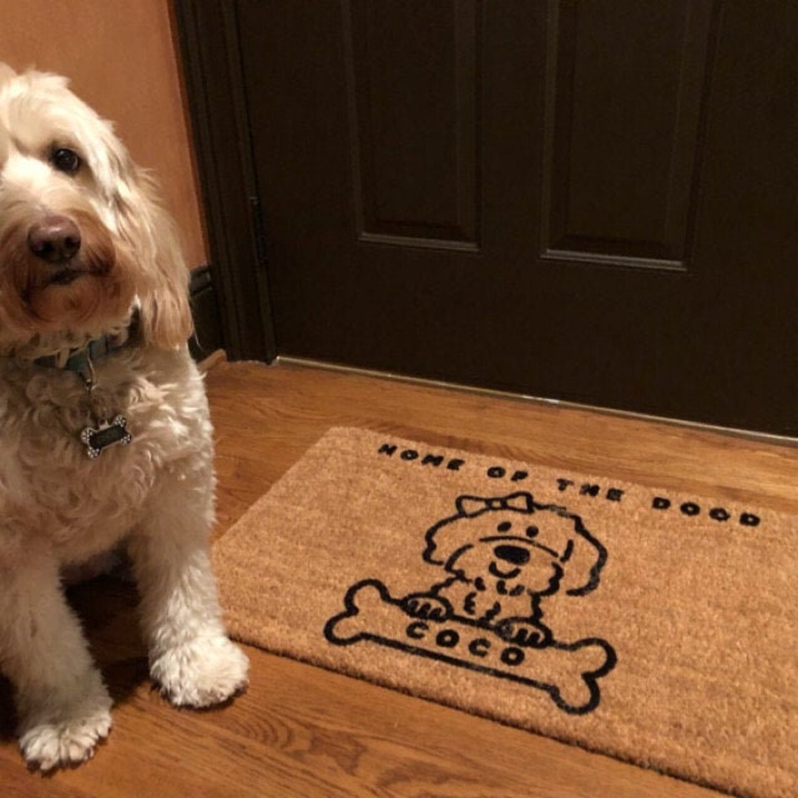 Custom Doodle Mat Doodle Doormat Goldendoodle Doormat - Etsy