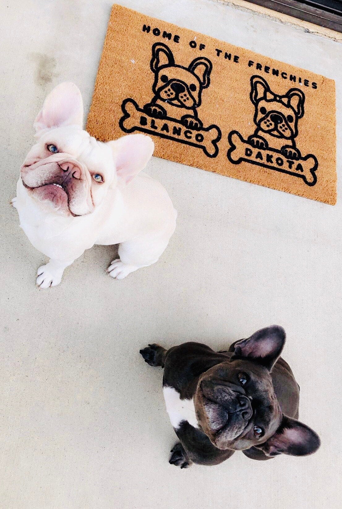 French Bulldog Doormat Frenchie Door Mat French Bulldog - Etsy