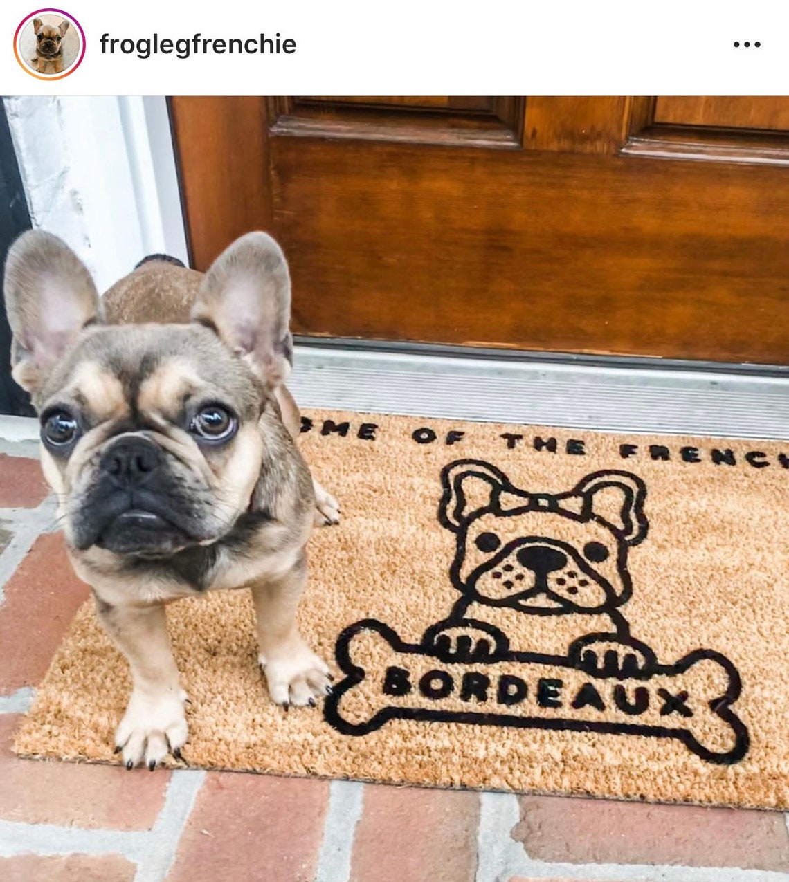 French Bulldog Doormat Frenchie Door Mat French Bulldog - Etsy
