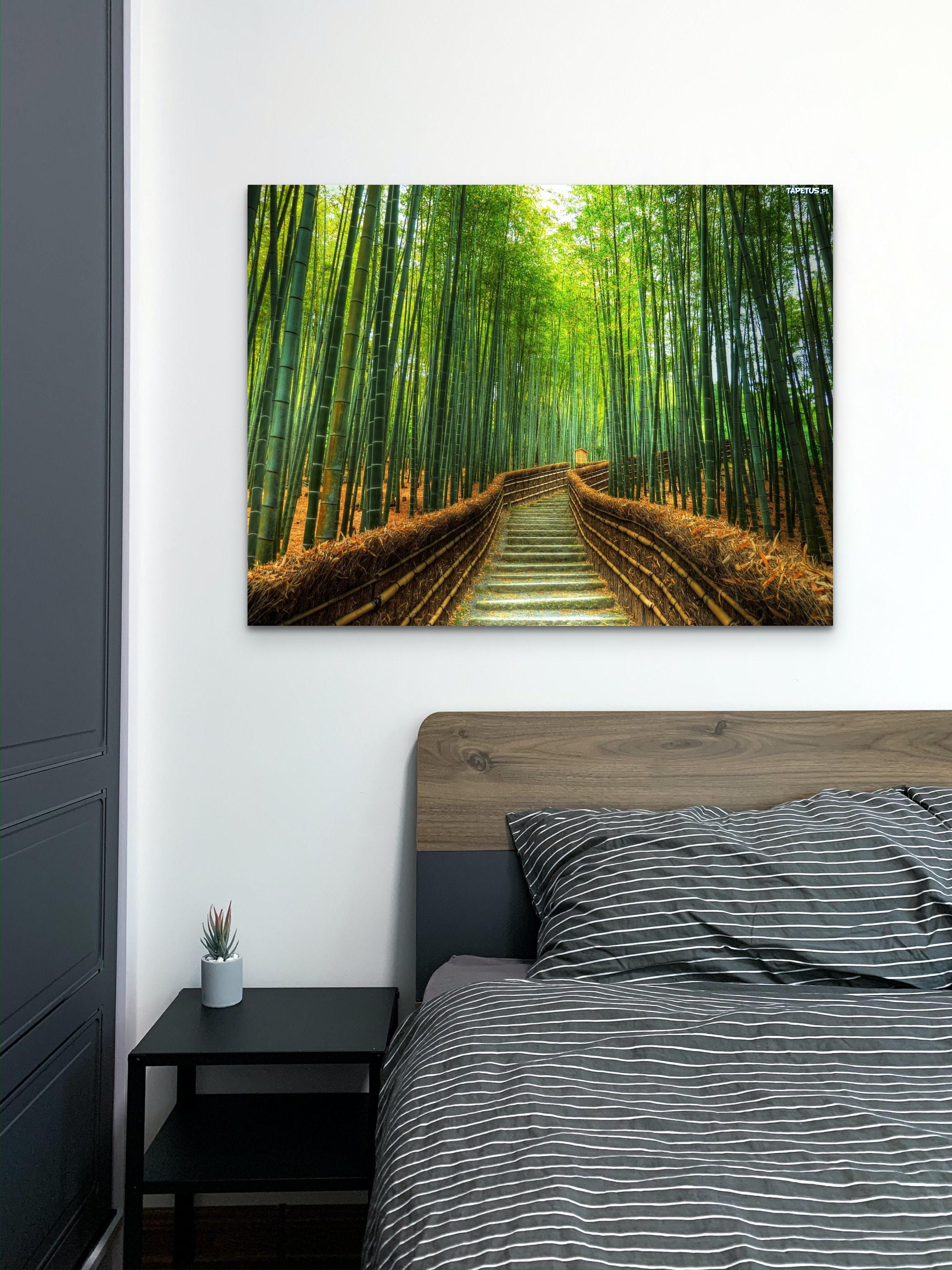 Bamboo Forest Wall Art, Kyoto Wall Art, Kyoto Canvas, Bamboo Wall Art ...