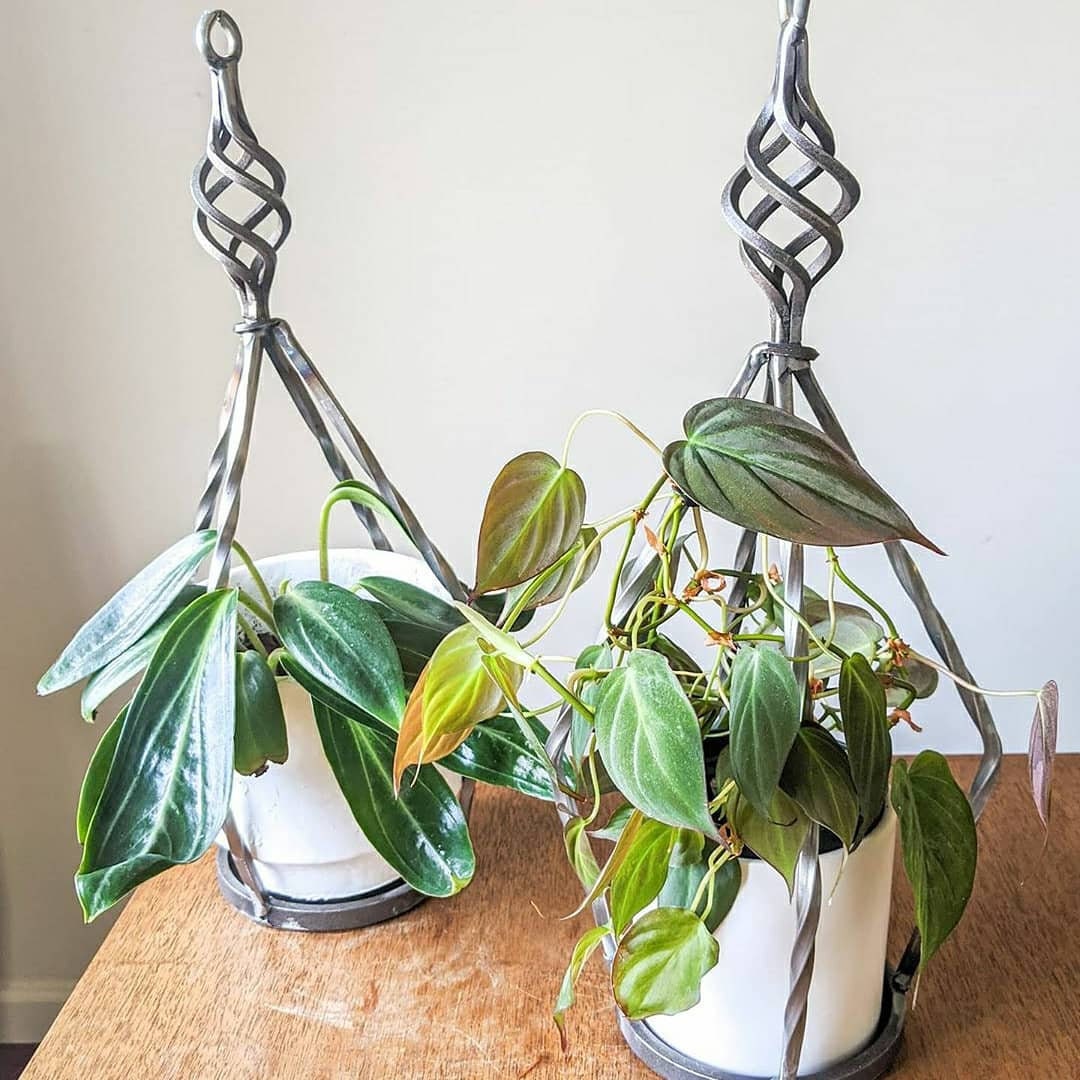 Metal Plant Hanger with Movable Arm | Etsy