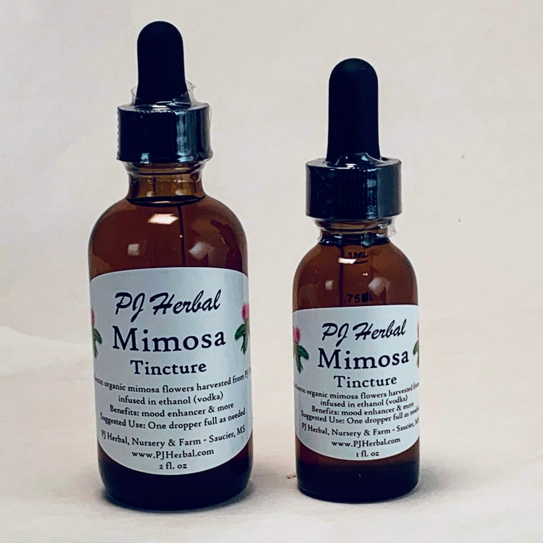 Mimosa Tincture - Made From Fresh-picked Mimosa Flowers - Albizia ...