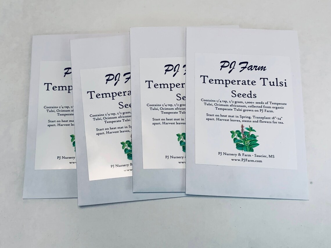 Temperate Tulsi 1000 SEEDS Holy Basil Ocimum Africanum - Etsy