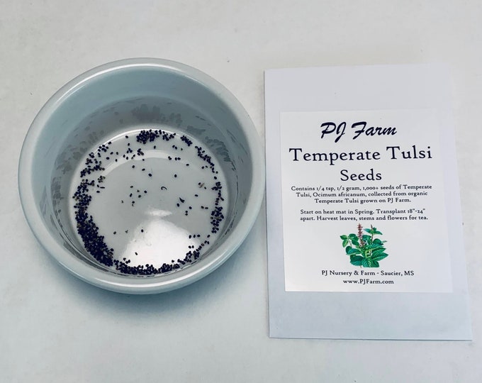 Temperate Tulsi - 1000+ SEEDS - Holy Basil - Ocimum Africanum - Etsy