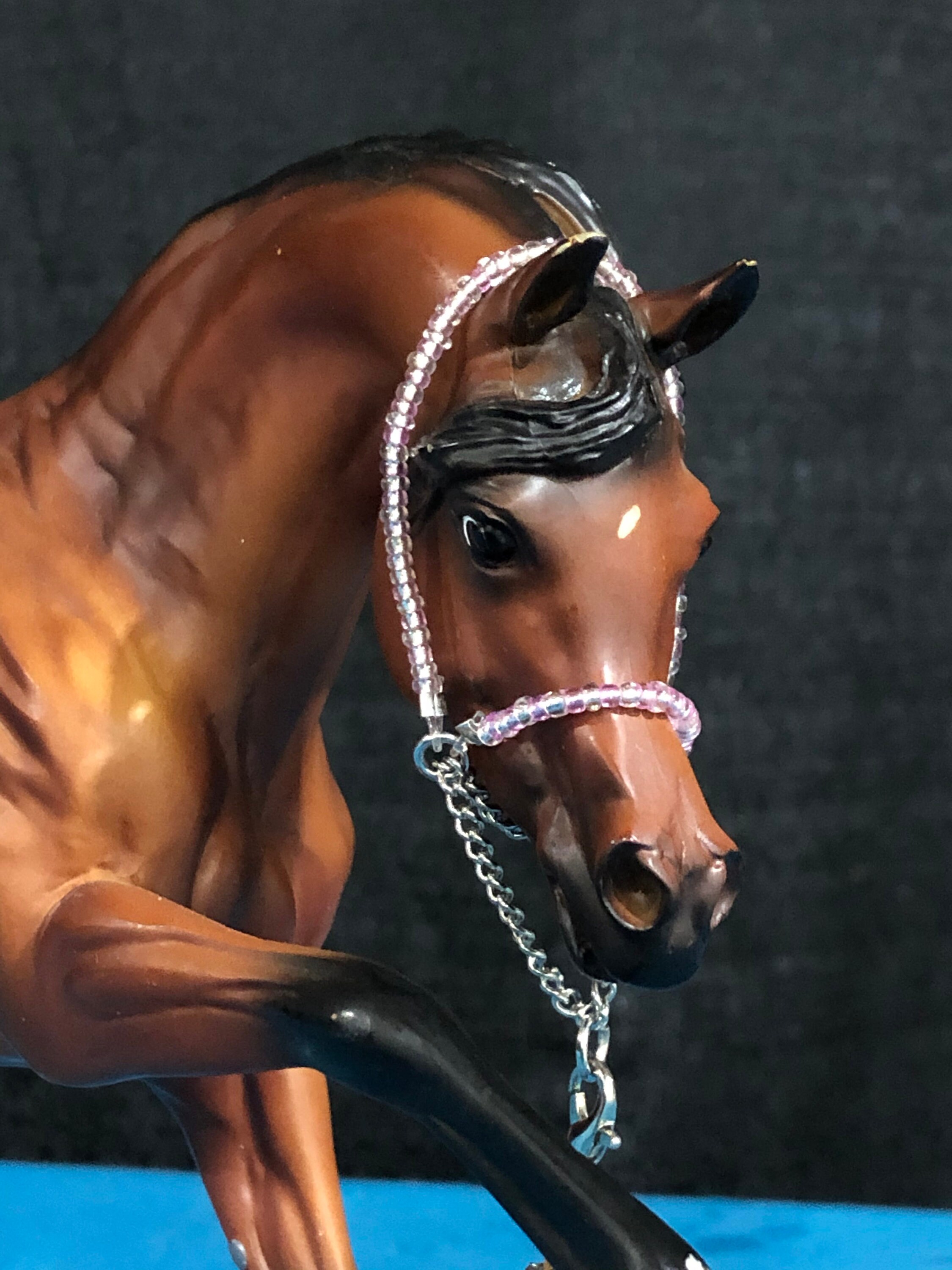 Arabian Stallion Halter