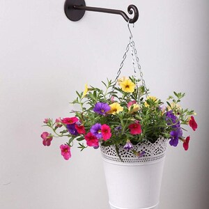 Hanging Basket, Bird Feeder, Lantern or Wind Chime Bracket, Hand Forged ...