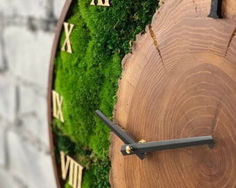 Moss Clock, Wooden Eco Clock With Preserved Moss, Wall Clock, Modern ...