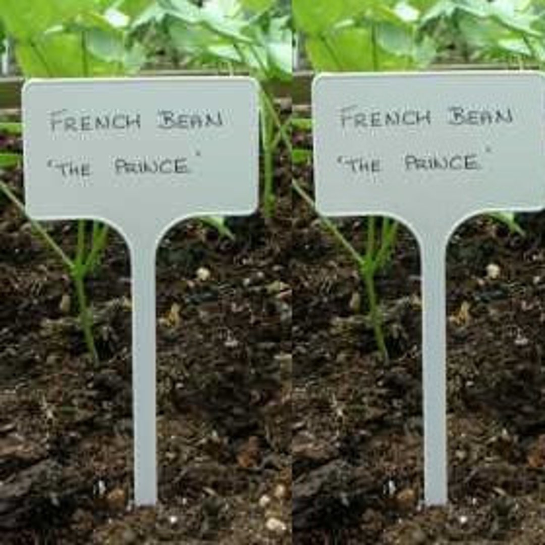 Plant Labels & Markers Wide Bed Labels Make Labelling Your Plants Easy ...