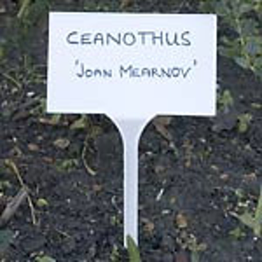 Plant Labels & Markers - Short Stem Angled-head Labels (WHITE) Make ...