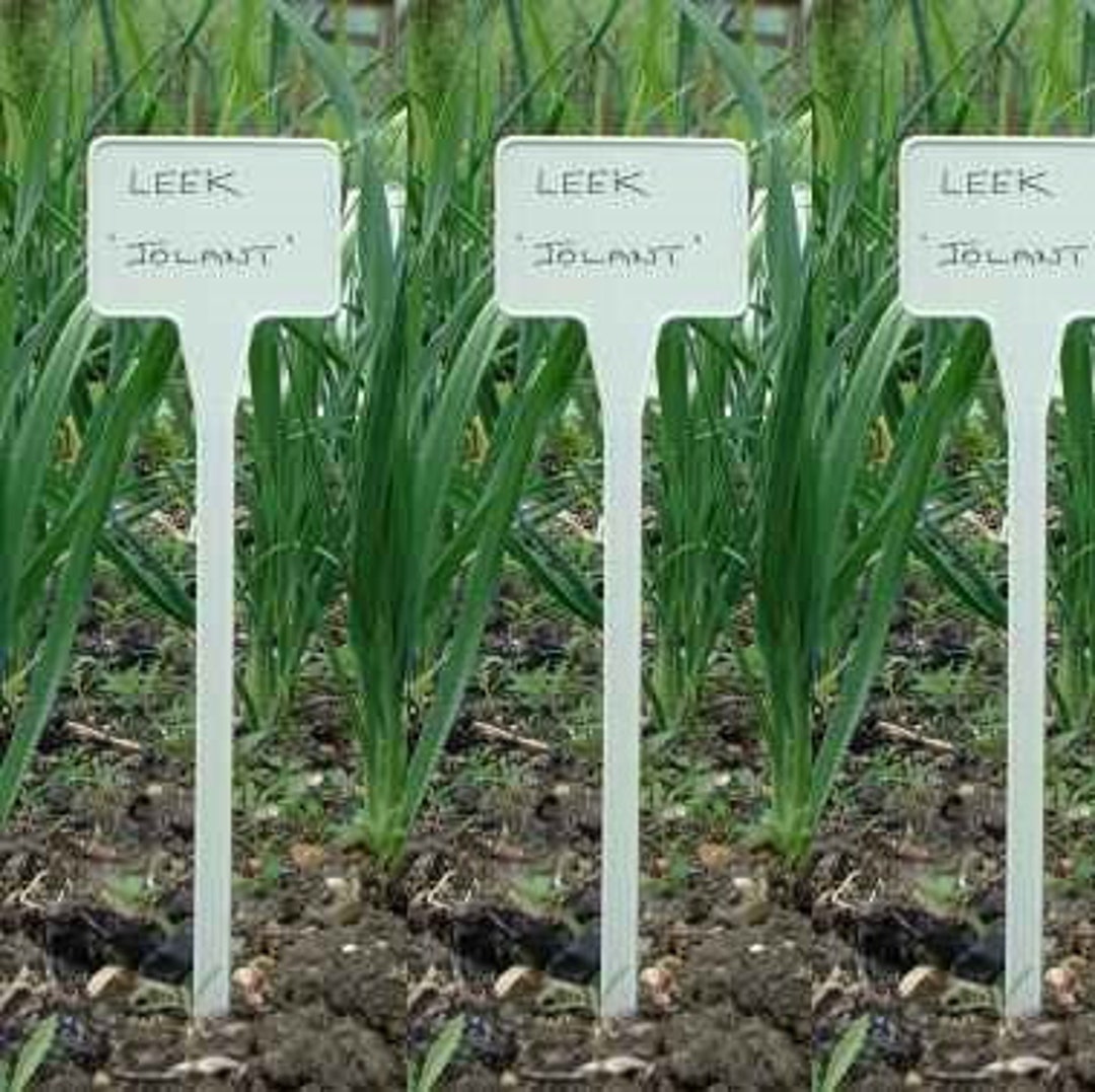 Plant Labels - Tall Bed Labels (white) Make Labelling Your Plants Easy ...