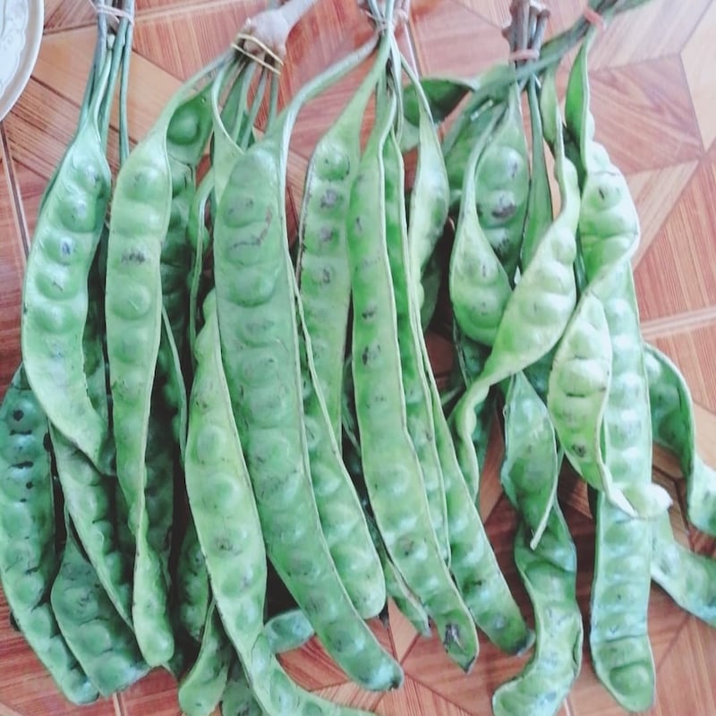 Bean Format - Etsy Canada
