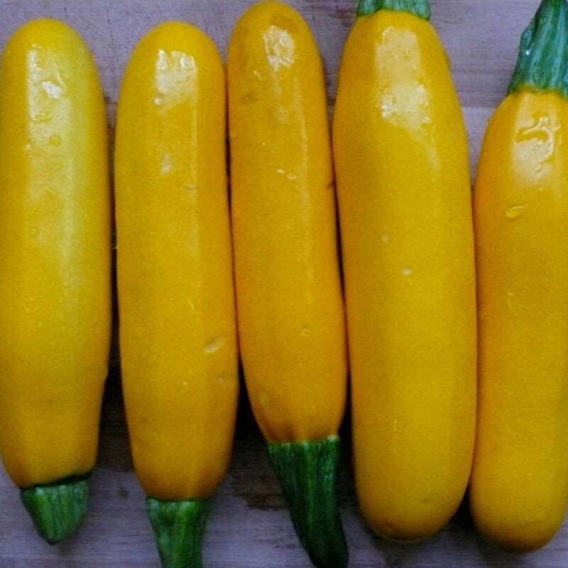 thaiseeds - Etsy