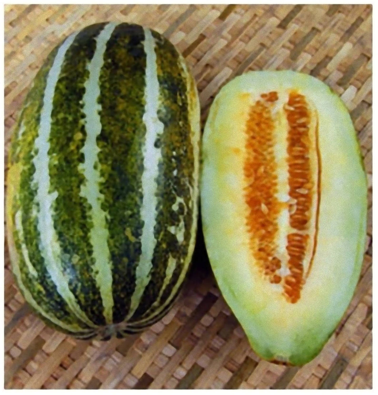 Tropical Thai Melon Seeds Packet - All Very Easy to Grow, CUCUMIS MELO ...
