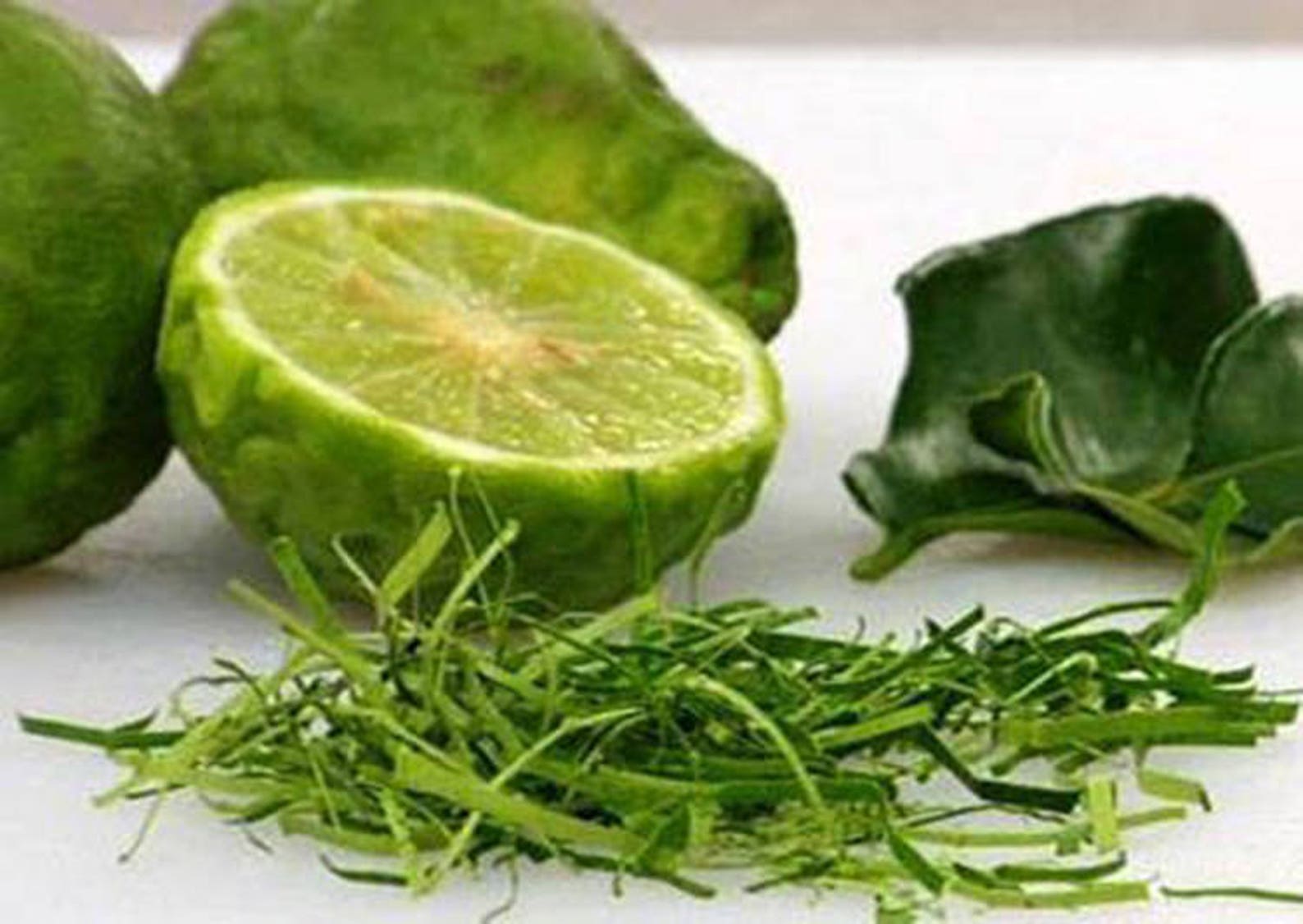 Thai Kaffir Lime Seed, Grow Your Own, CITRUS HYSTRIX, Organic and ...