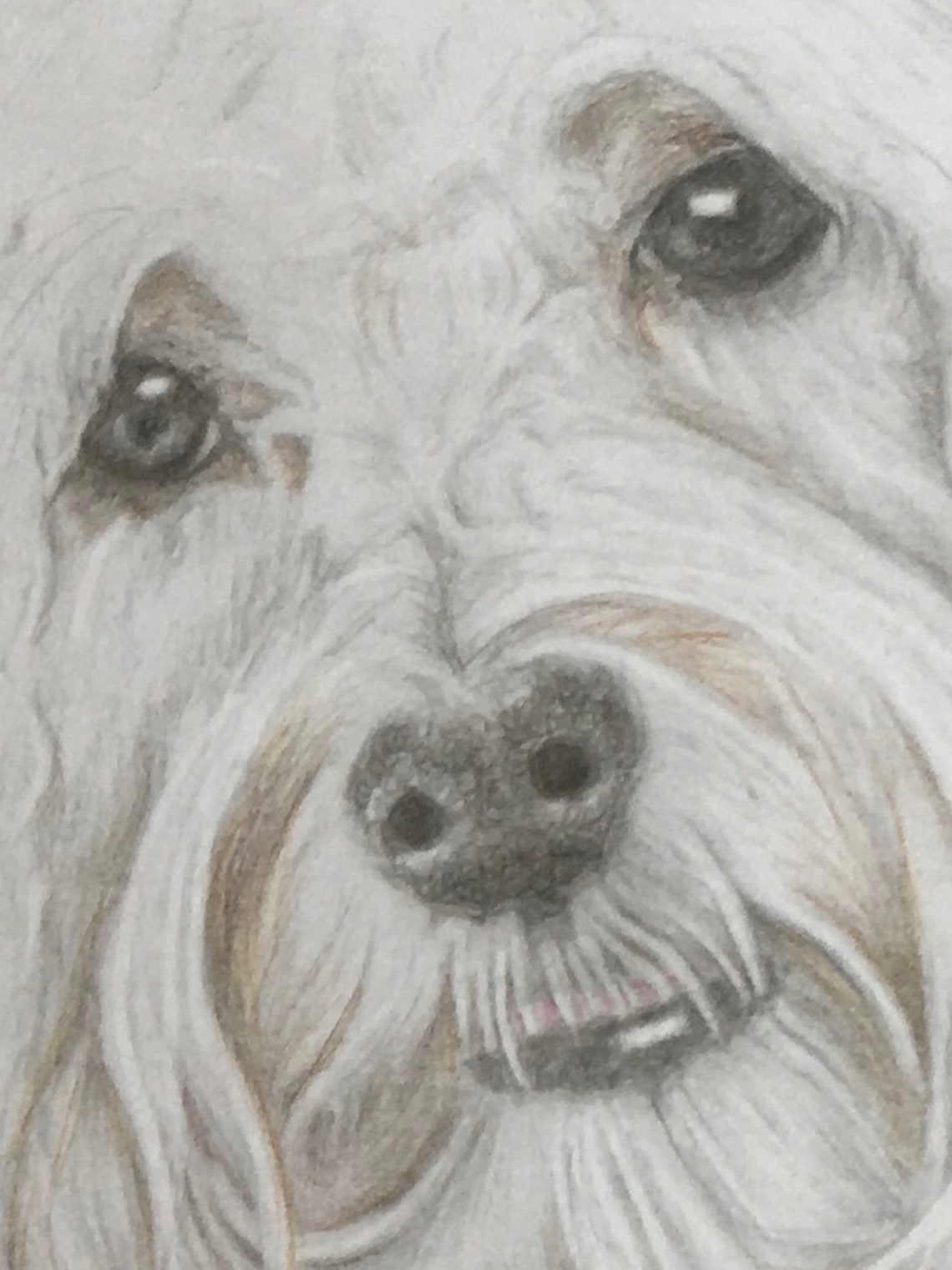 Hand Drawn Original Graphite Drawing of 2 Dogs - Etsy