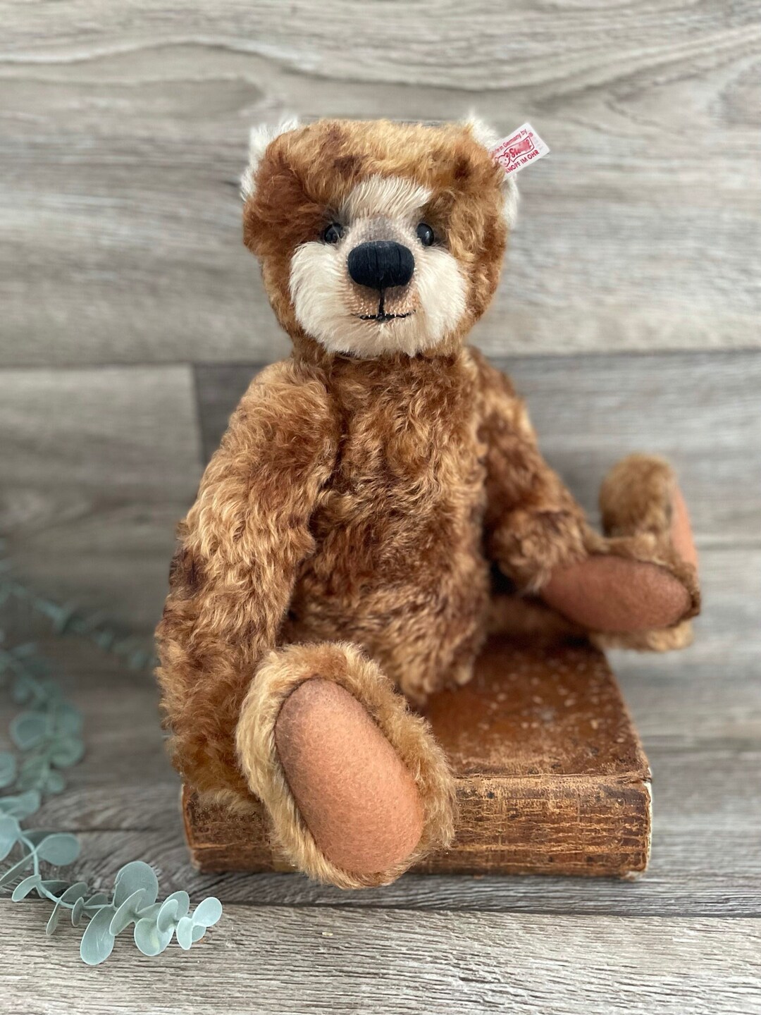 Limited Edition Steiff Limpy Teddy Bear, Ean 036217, Retired - Etsy
