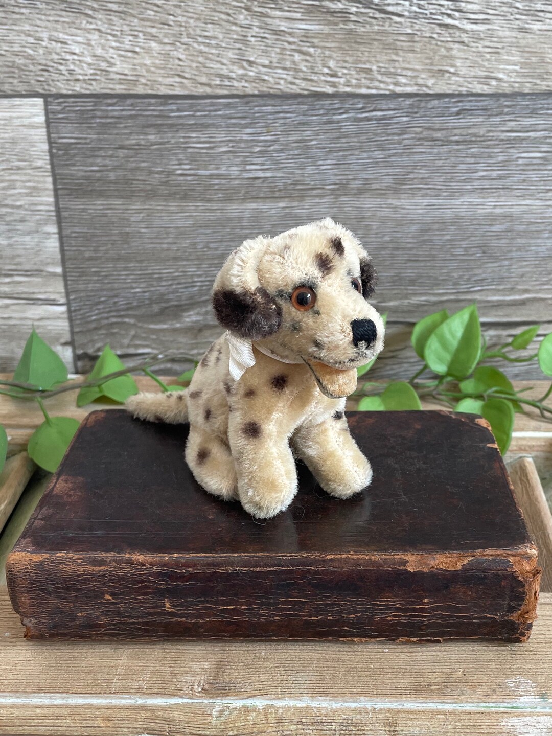 Vintage Steiff Dally Dalmatian Dog, Collector's Item, Great Condition ...