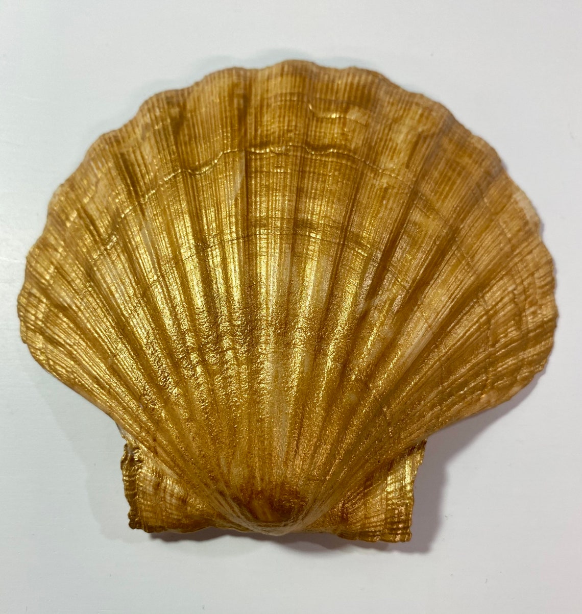 Painted Scallop Shell Jewelry Holder Ring Dish Trinket Holder Van Gogh ...