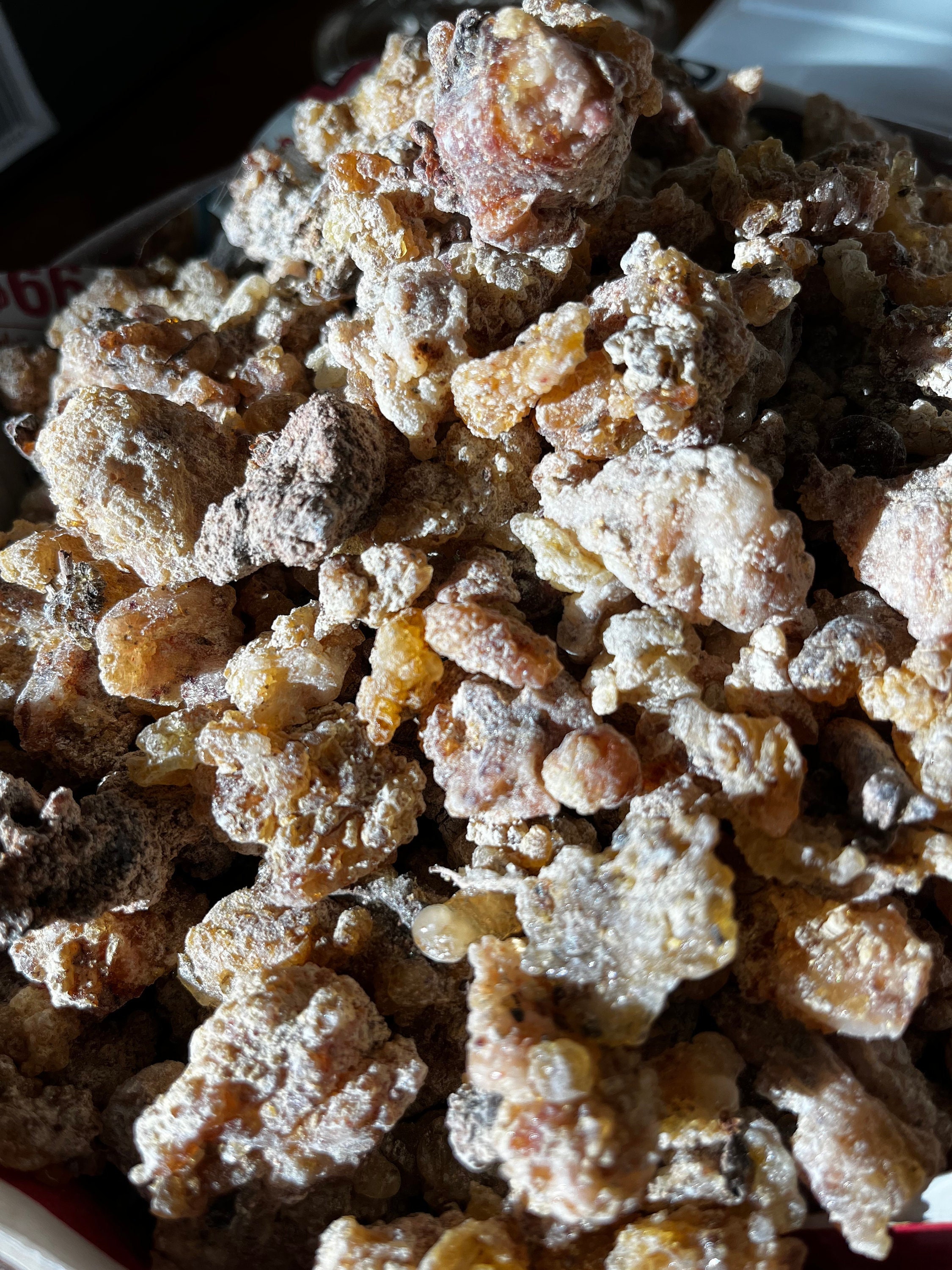 Piñon Pine Resin Incense, A Wild Harvested Scent From the California ...