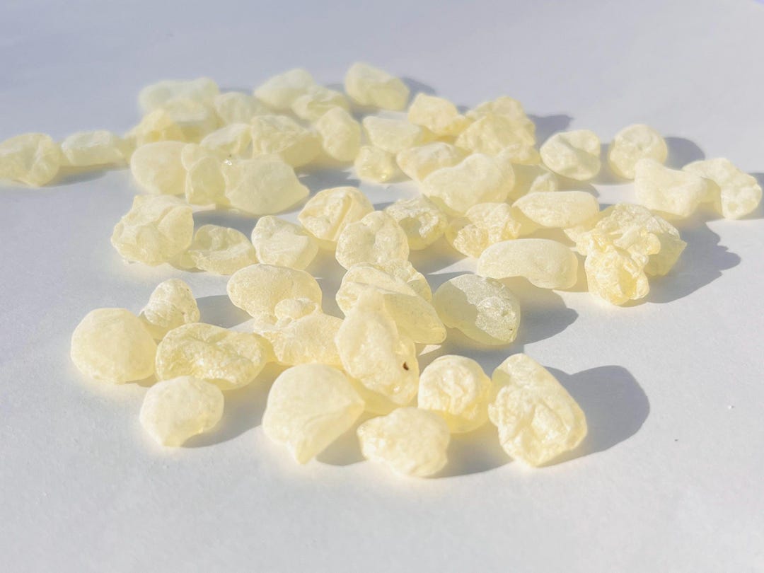 Mastic Gum, A Fragrant Treasure From Chios, Greece | Pure Tree Resin ...