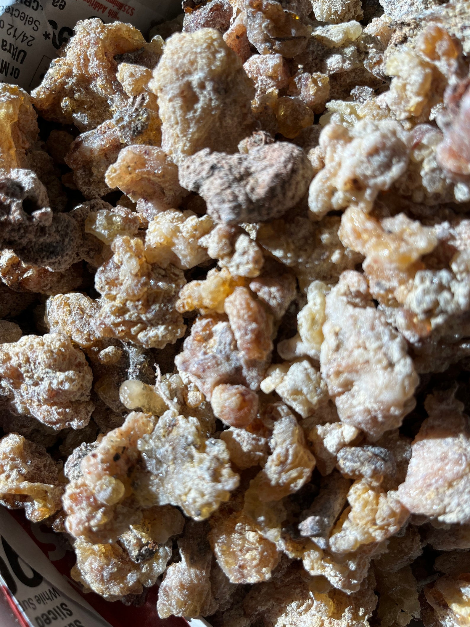 Piñon Pine Resin Incense, A Wild Harvested Scent From the California ...