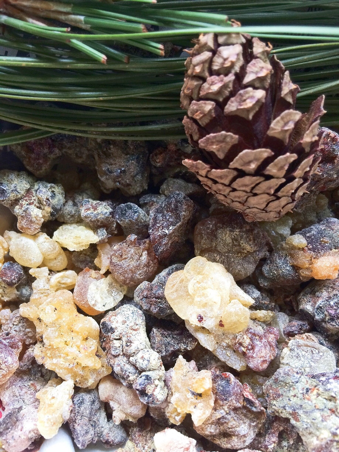 Wild Harvested Jeffrey Pine Resin Incense: California High Desert Scent ...