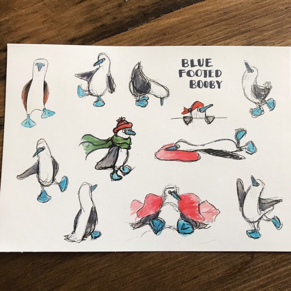 Blue Footed Booby - Etsy