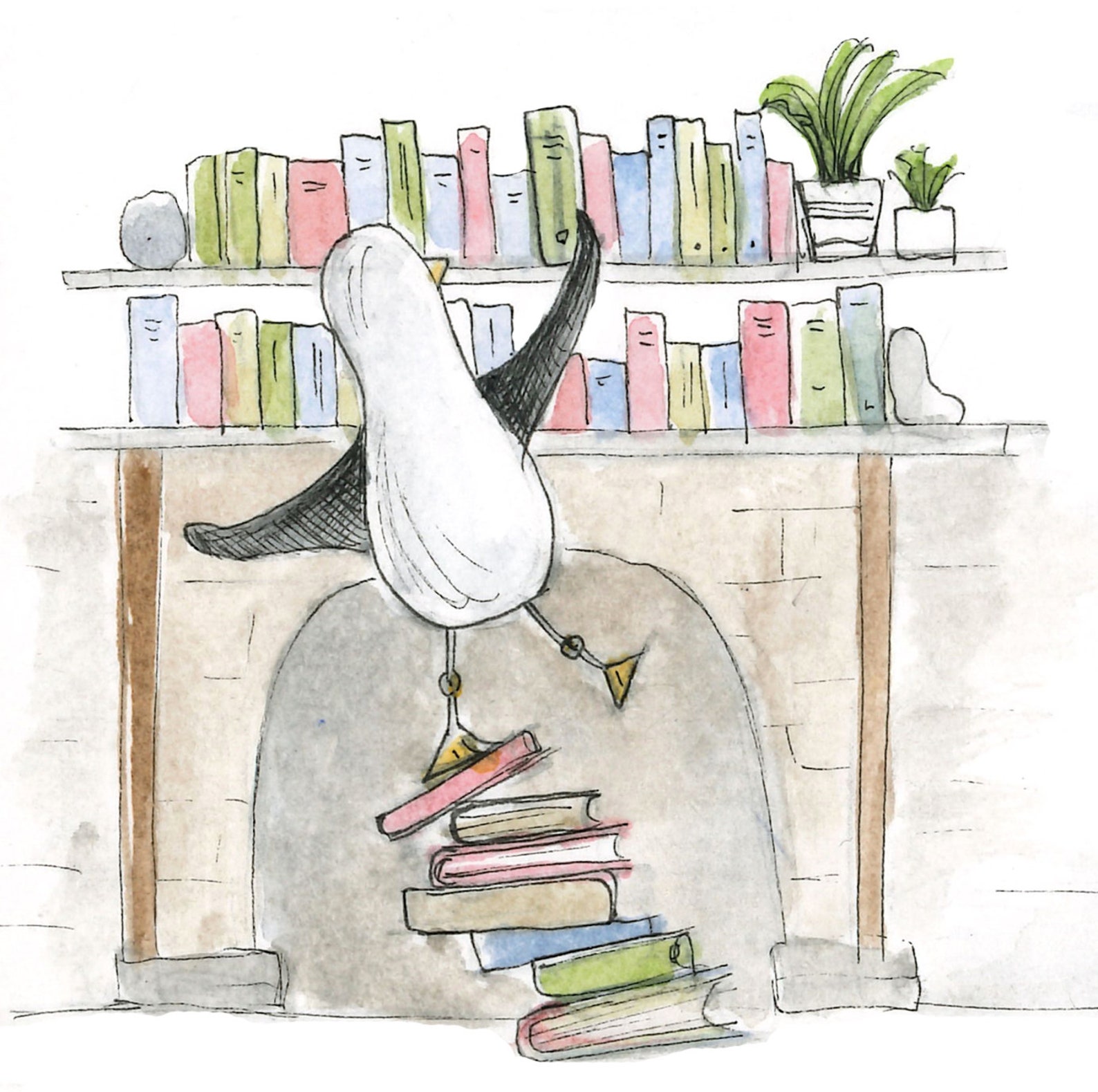 BOOK LOVER Seagull Card Illustration Illustrated Greeting Card Blank ...