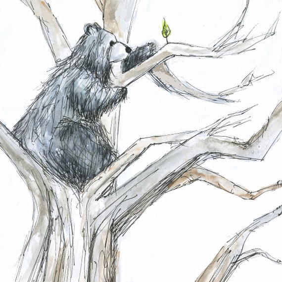 Reaching High Bear Greeting Illustration Card blank Catherine | Etsy