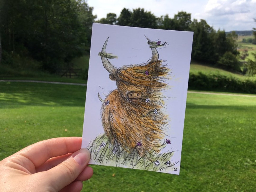 Windswept Heelan Coo Postcard Catherine Redgate Highland Cow Scottish ...