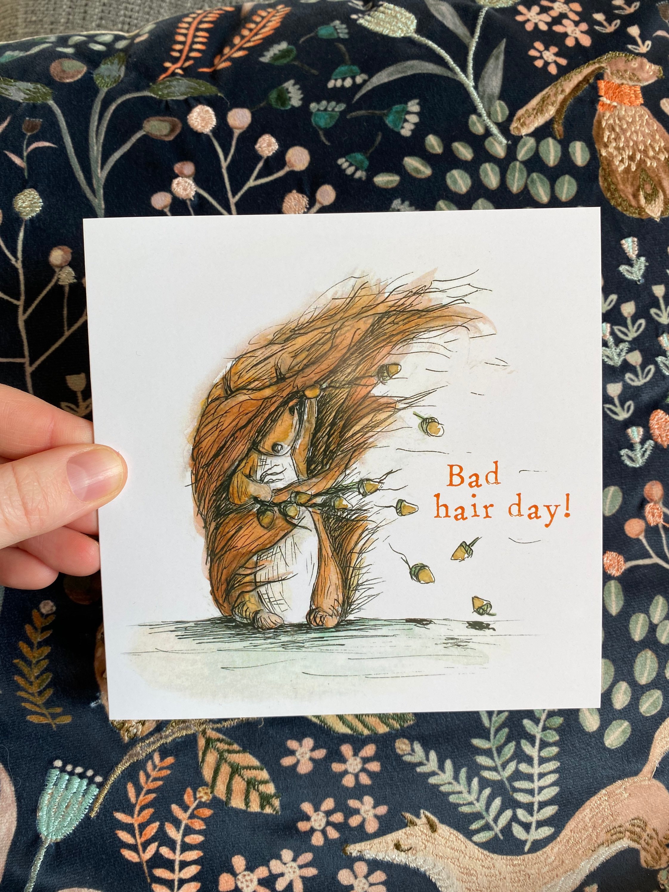 Funny Bad Hair Day