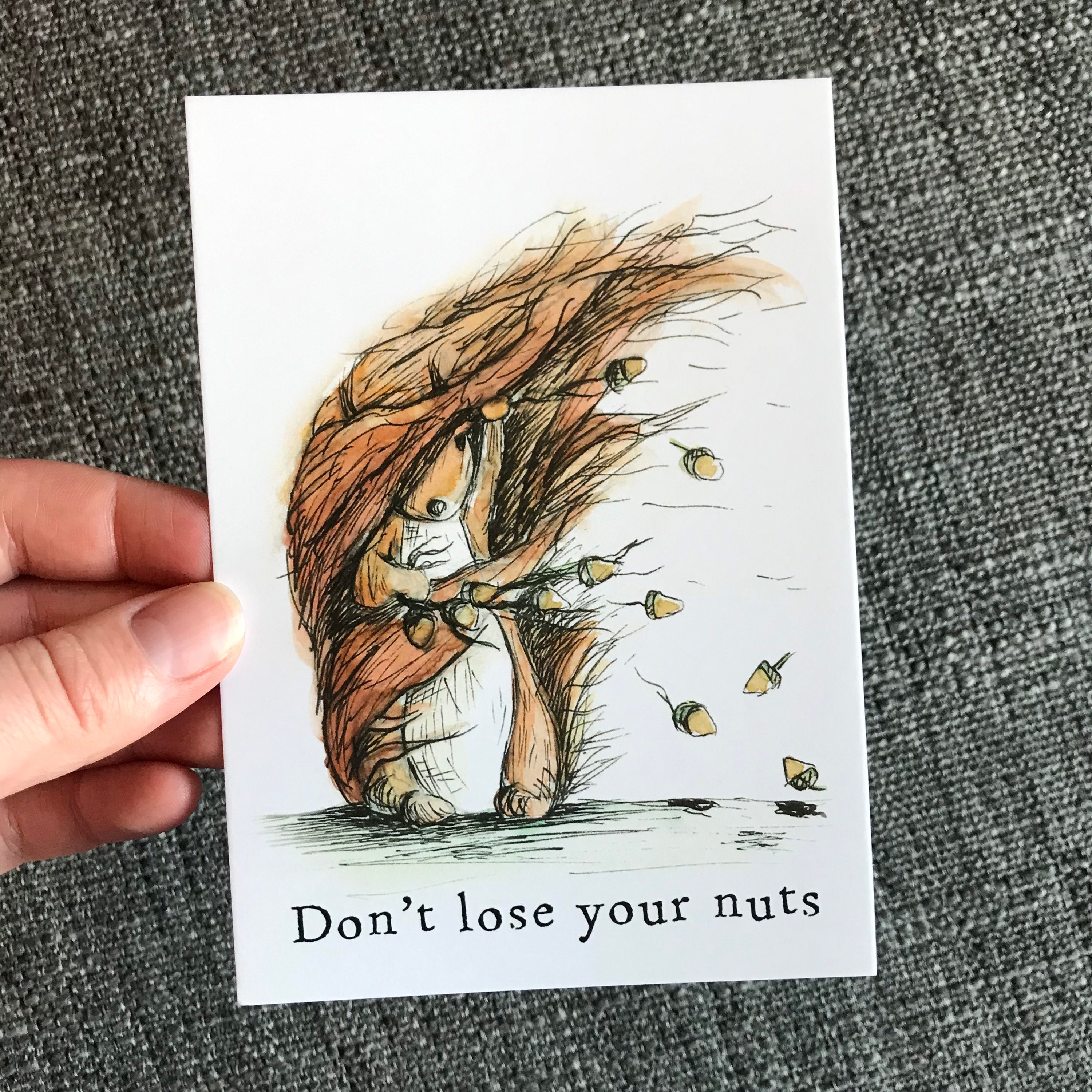 Don’t Lose Your Nuts SQUIRREL Postcard Catherine Redgate Letter Card ...