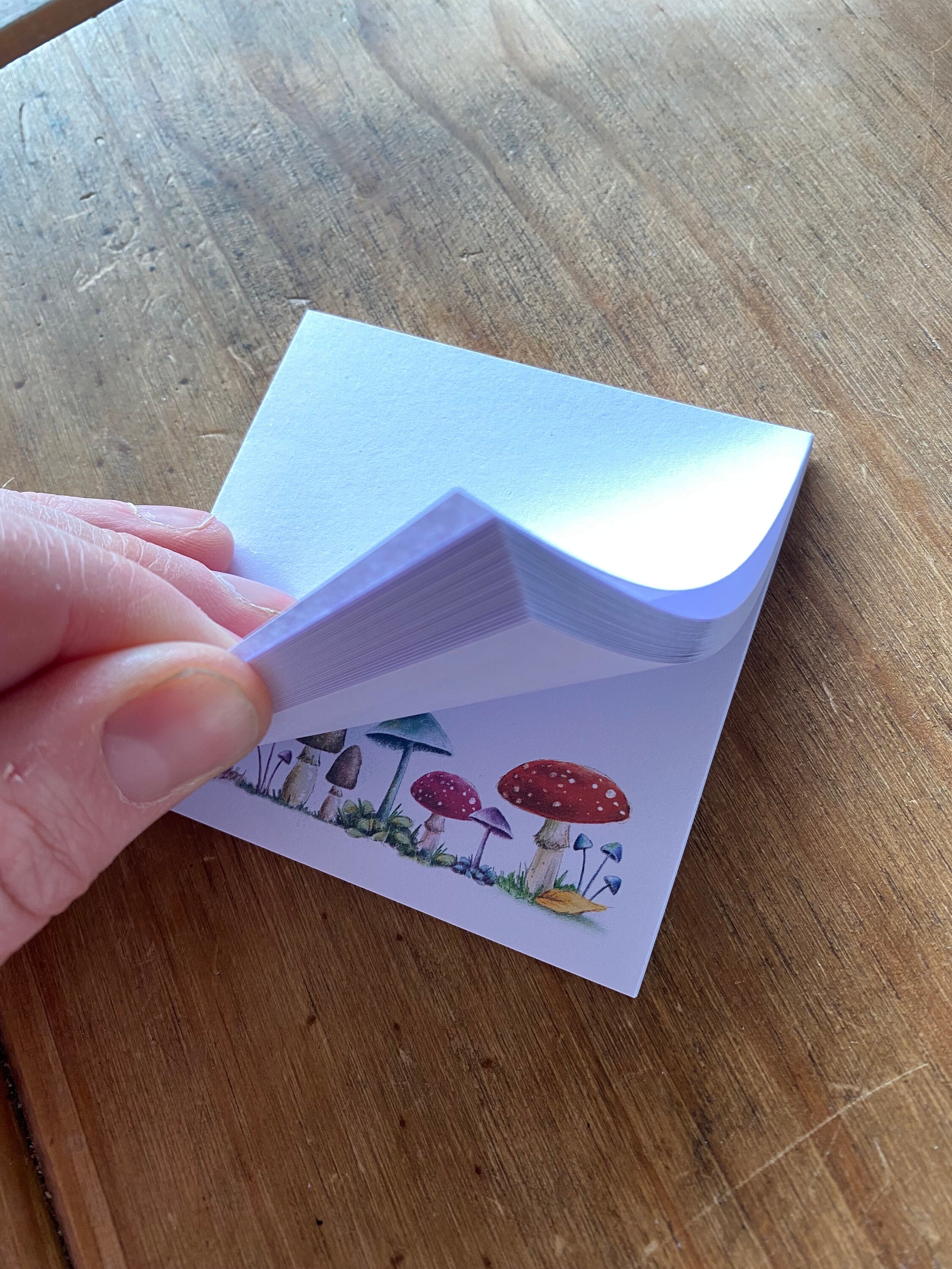 Fantastic FUNGI MUSHROOM Memo Pad Notepad Notes Catherine Redgate ...